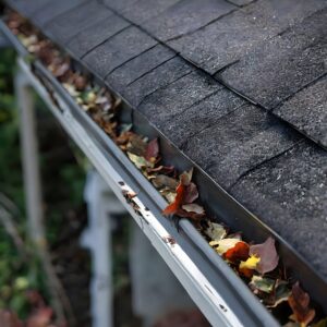 Gutter Apron Explained: Function, Benefits & Installation